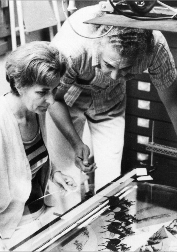 Caught in Moving Sand: The Films of Gisèle and Nag Ansorge - L'Alliance ...